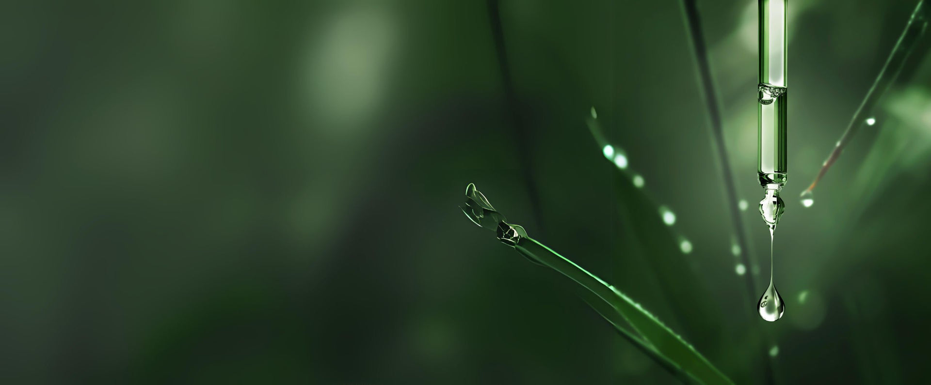 Notre Marque – Laboratoires Vendôme