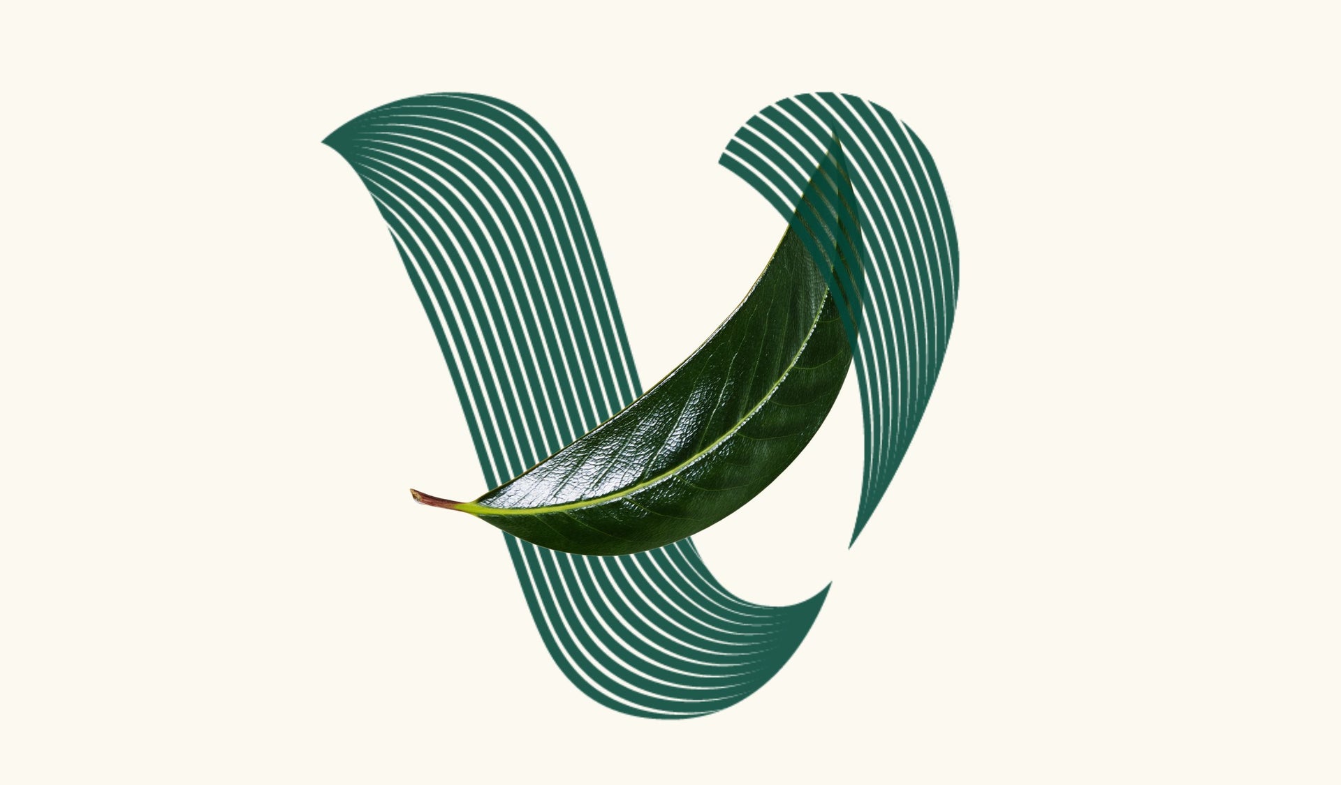 Notre Marque – Laboratoires Vendôme